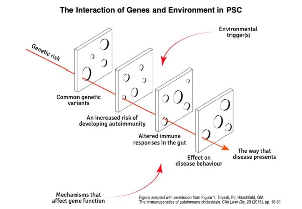 Overview Of PSC – PSC Support